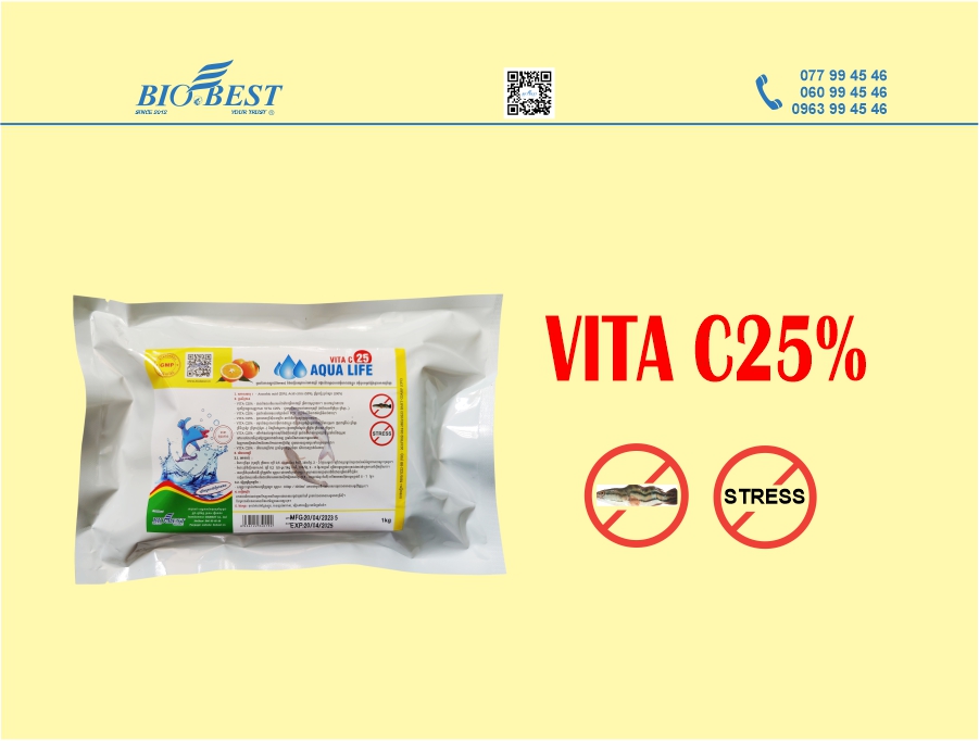 VITA C25%
